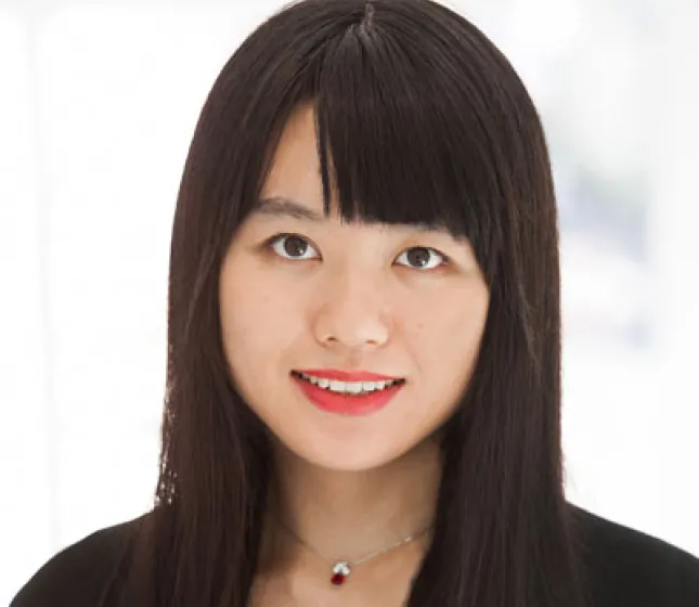 Research Fellows Program